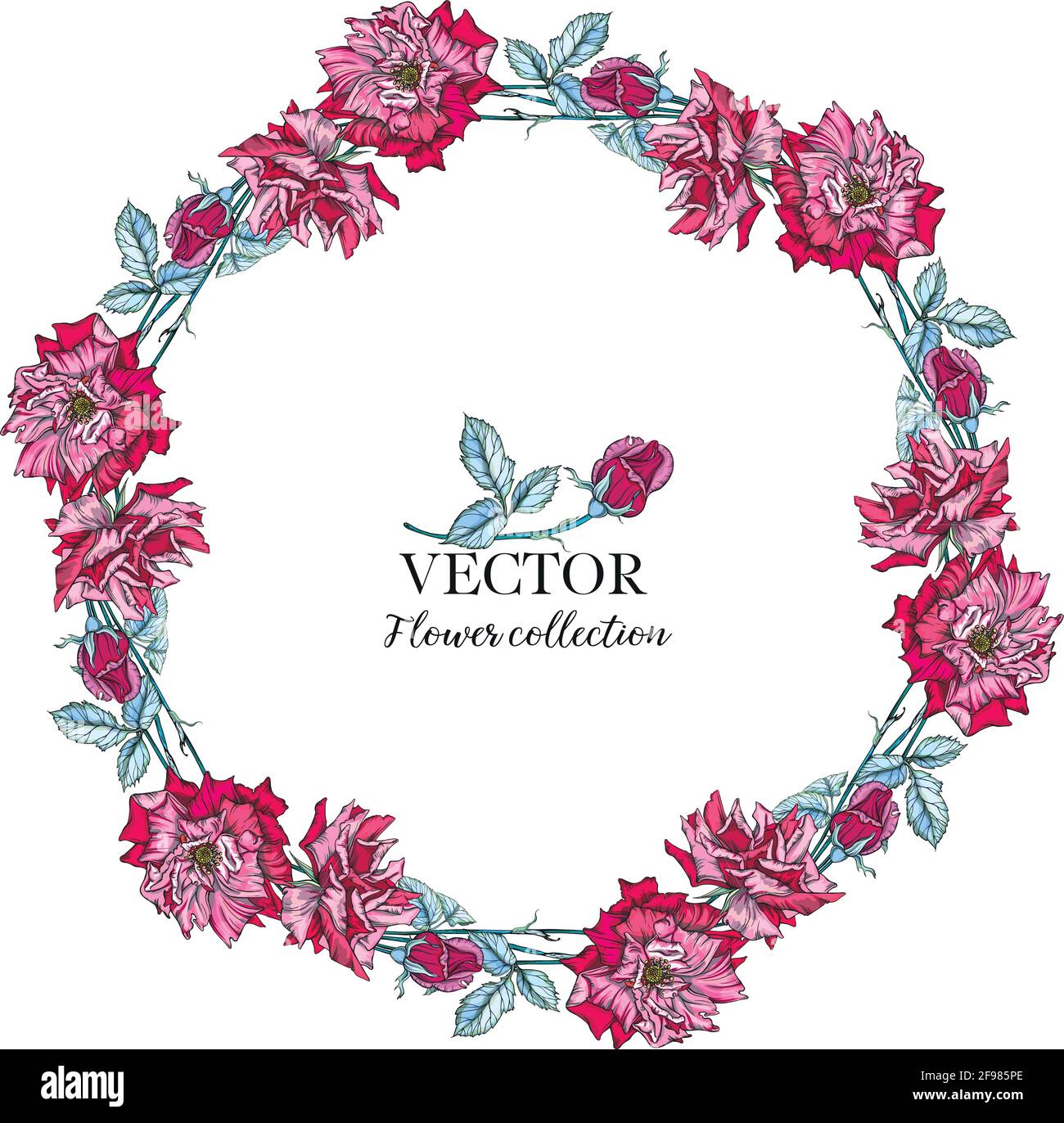 Vector set of flower compositions. Rose flowers, rose Stock Vector ...