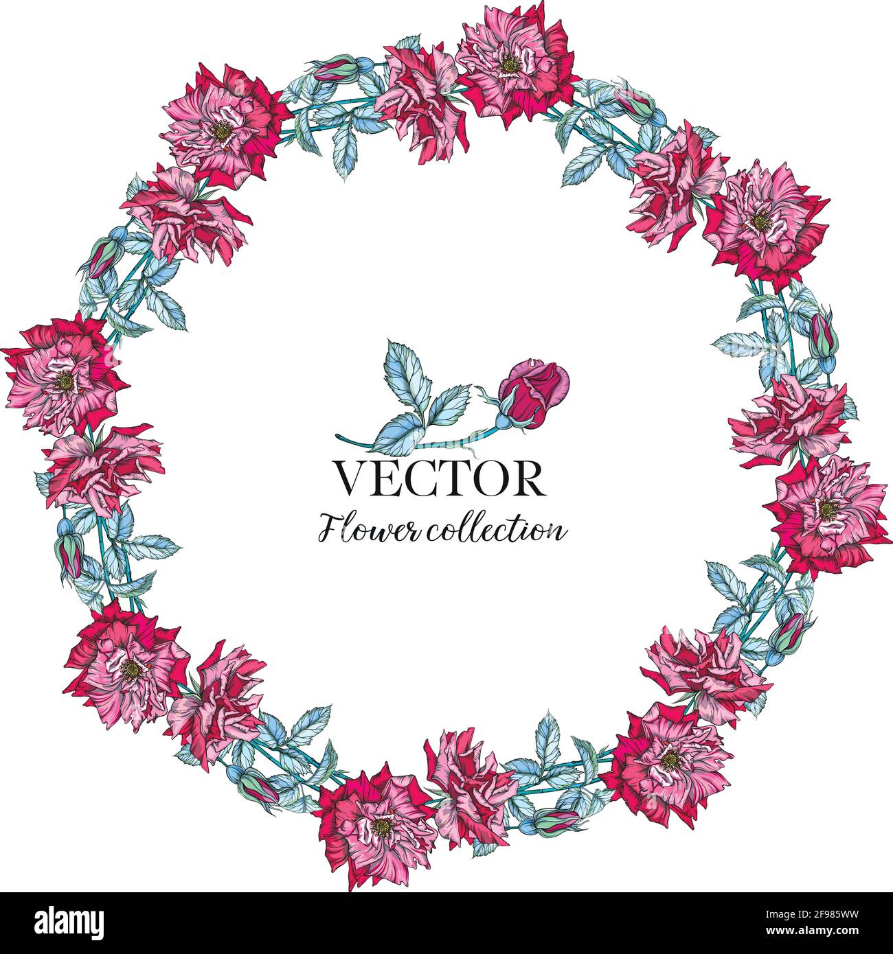 Vector set of flower compositions. Rose flowers, rose Stock Vector ...