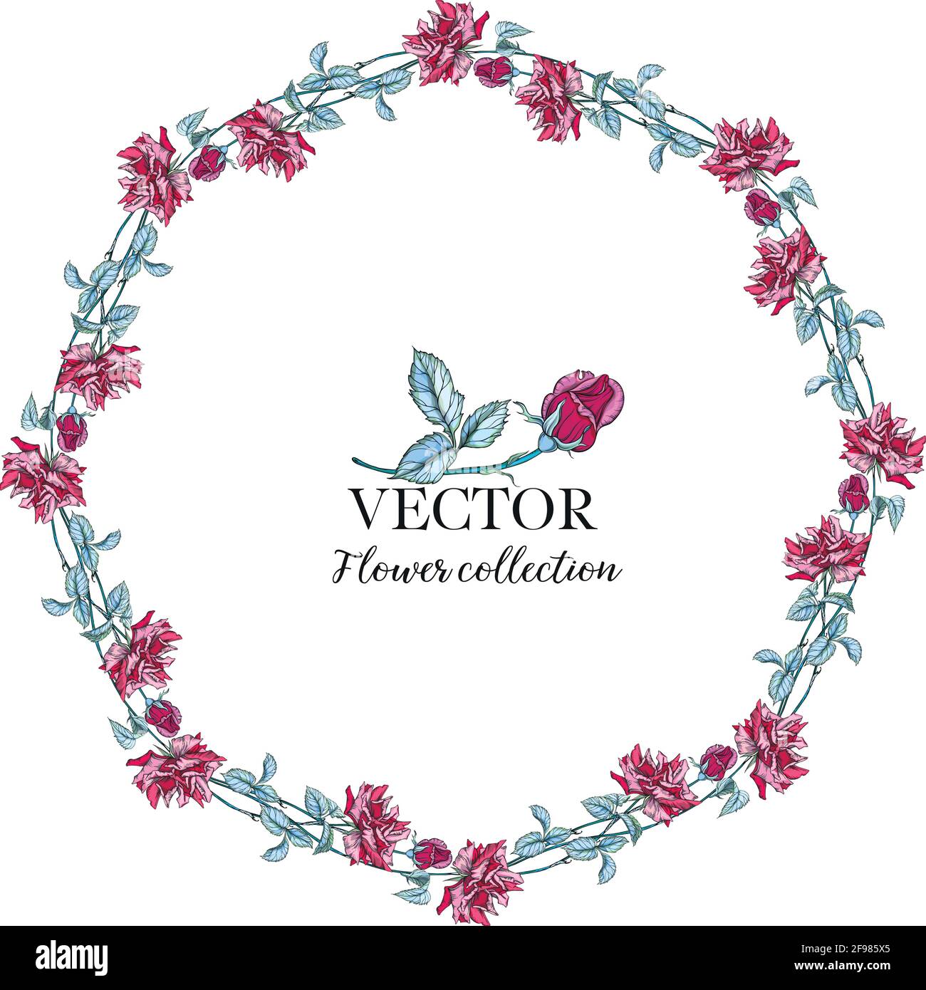 Vector set of flower compositions. Rose flowers, rose Stock Vector ...