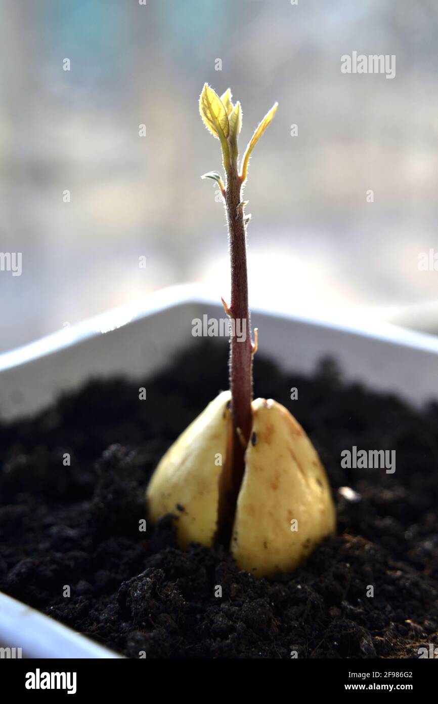 Ground week hi-res stock photography and images - Alamy