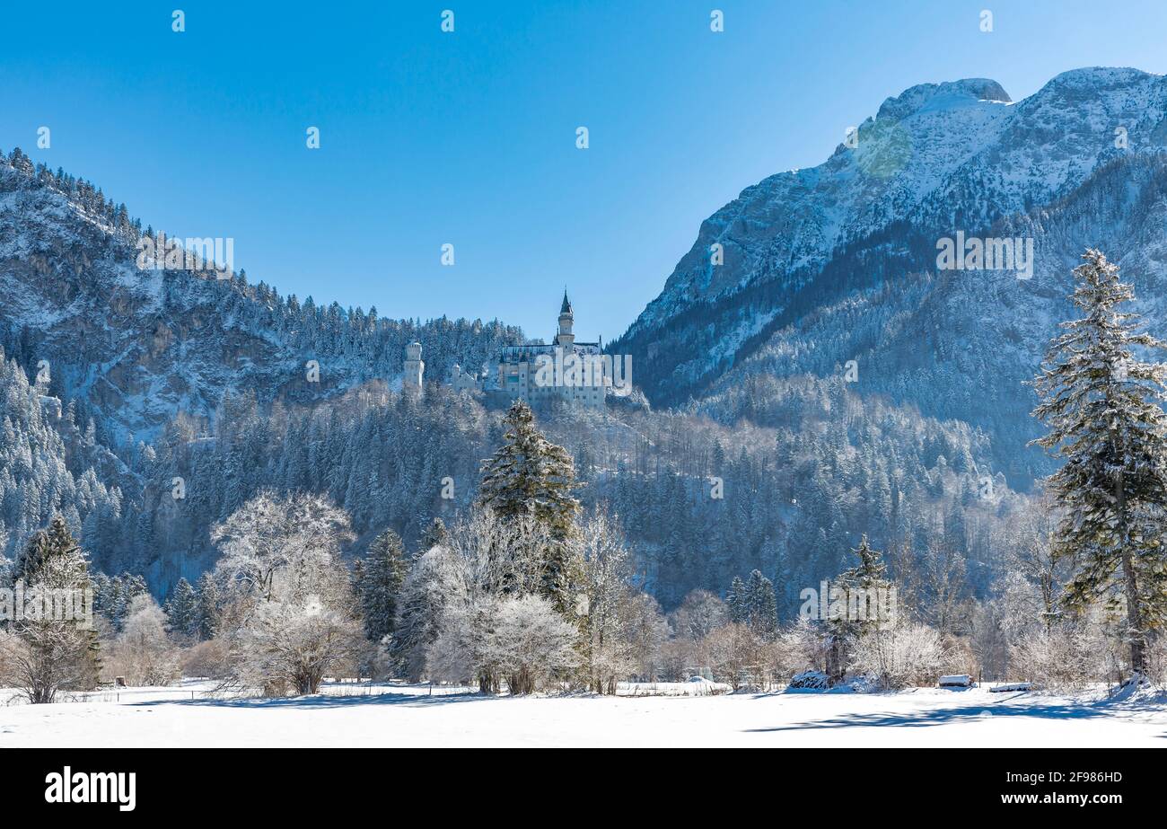 Neuschwanstein m hi-res stock photography and images - Alamy