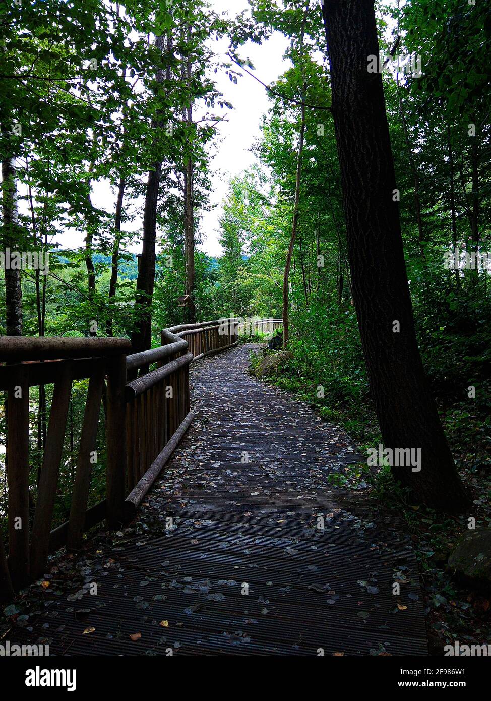 Path travel traveling hi-res stock photography and images - Alamy