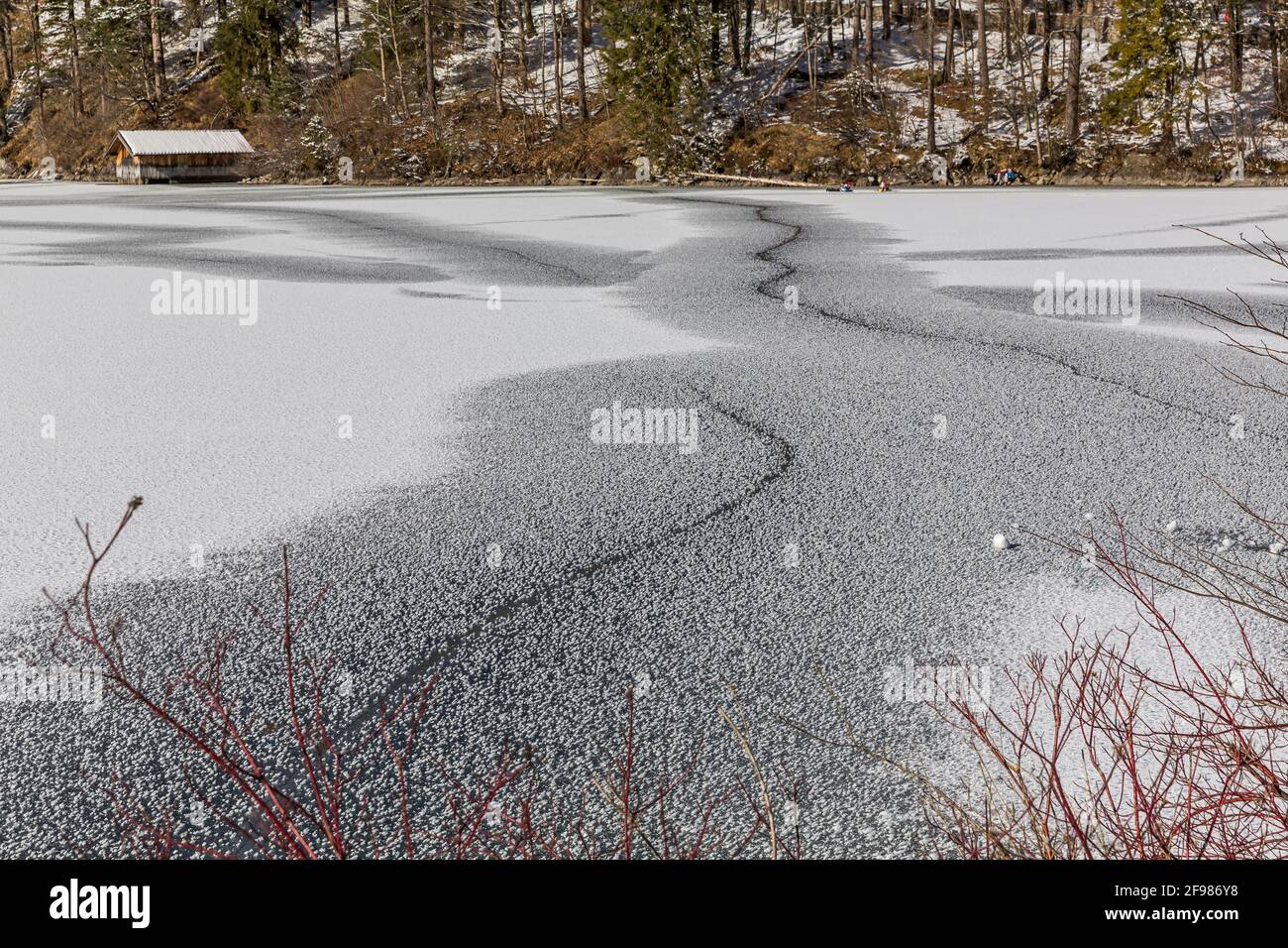 Frozen Alpsee in winter, Schwangau, Füssen, Allgäu Alps, Allgäu ...