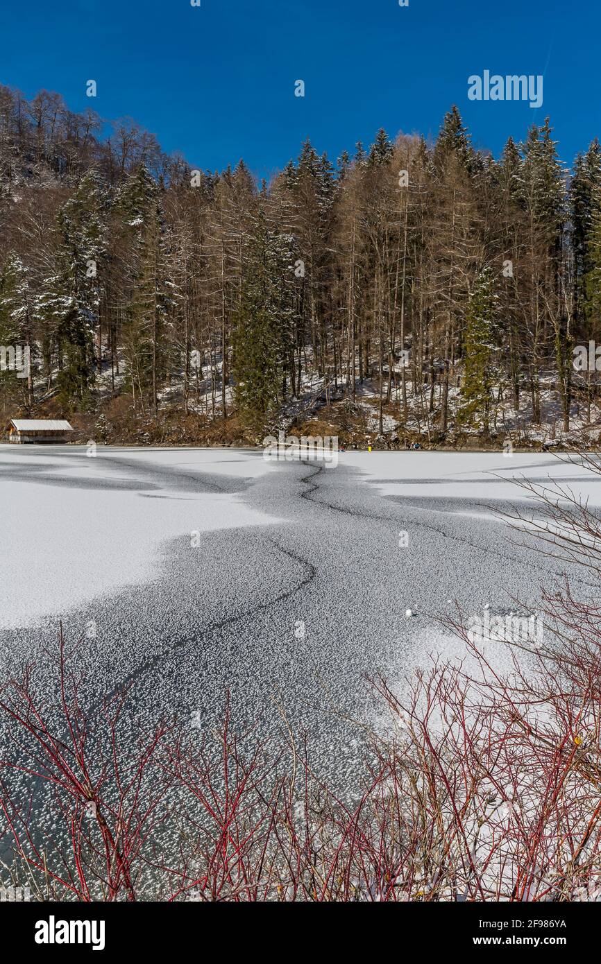 Frozen Alpsee in winter, Schwangau, Füssen, Allgäu Alps, Allgäu ...