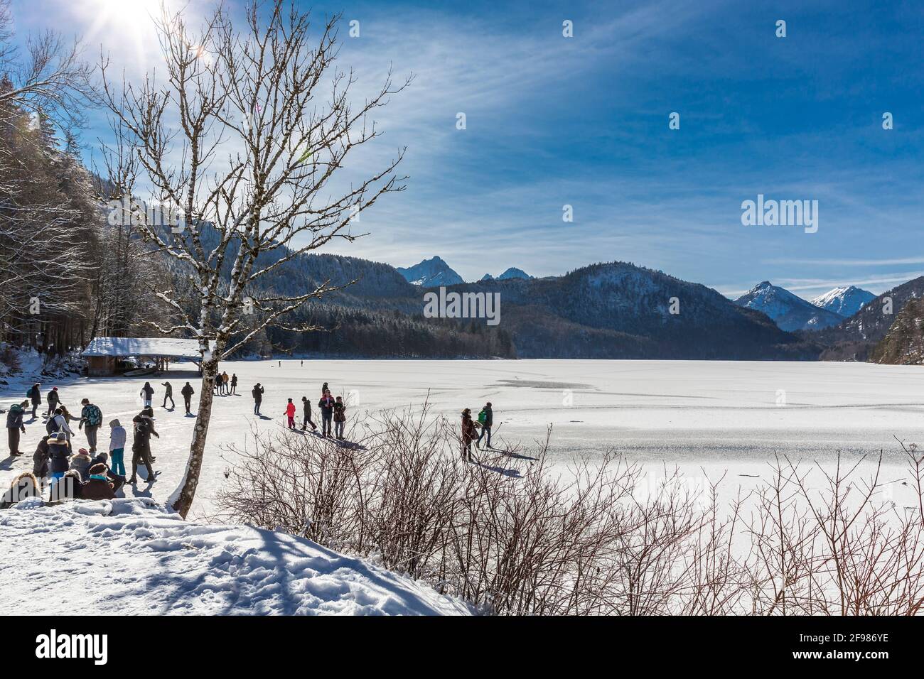 People on the frozen Alpsee in winter, Schwangau, Füssen, Allgäu Alps ...