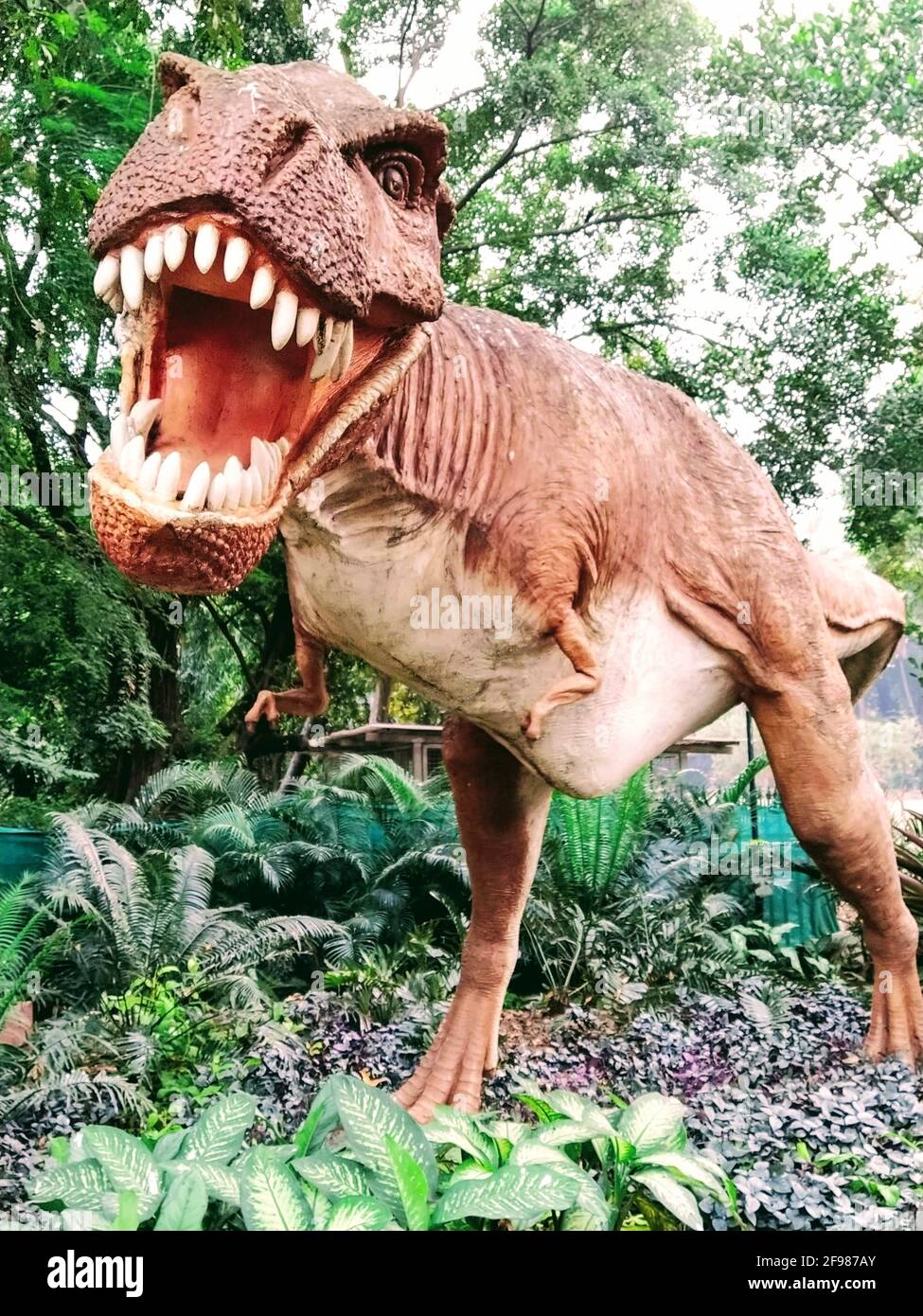 Closeup of a huge dinosaur showing its toothy mouth in a park Stock ...