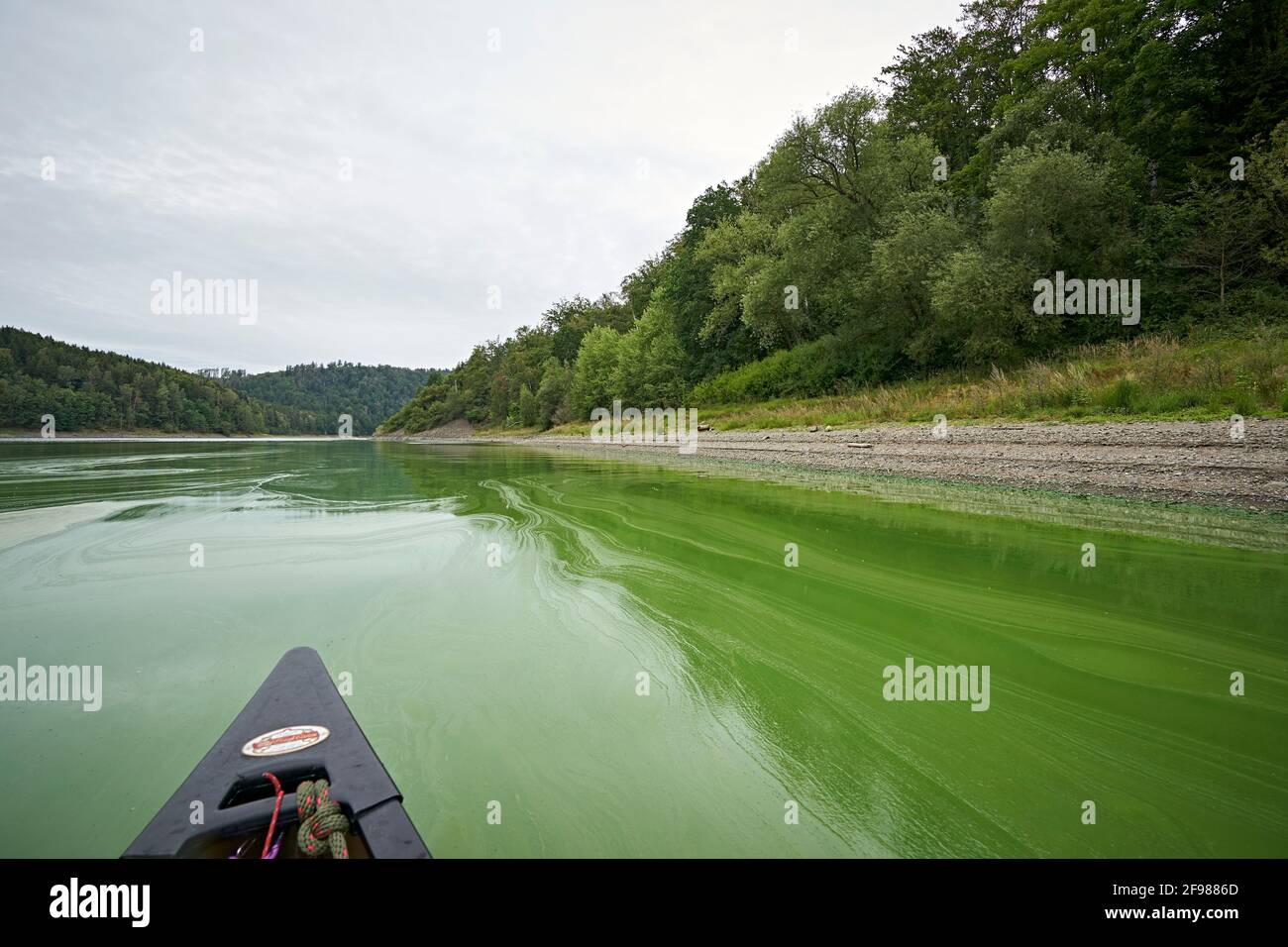 Blue algae infestation hi-res stock photography and images - Alamy