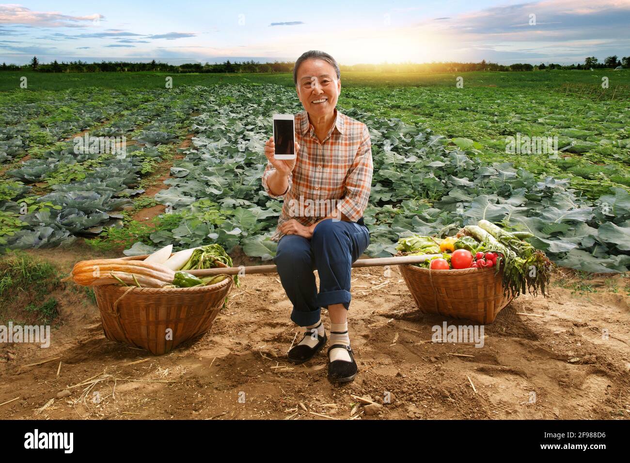 Sitting on a farm farmers holding a mobile phone Stock Photo - Alamy