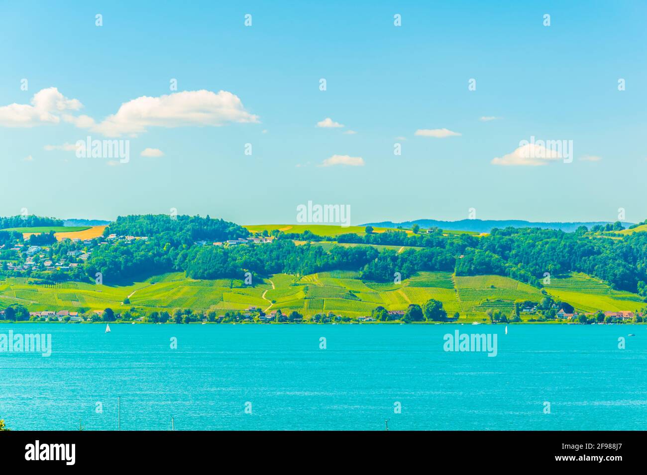 Aerial view of Murten lake in Switzerland Stock Photo - Alamy