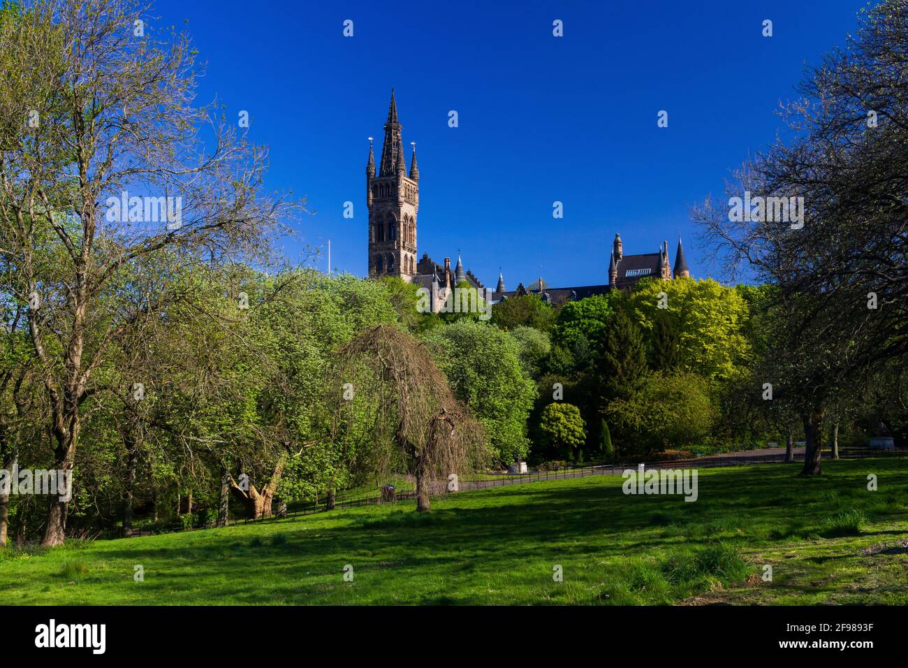 Kelvingrove park glasgow spring hi-res stock photography and images - Alamy