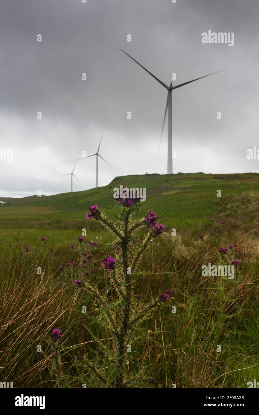 Wind power in Scotland Stock Photo - Alamy