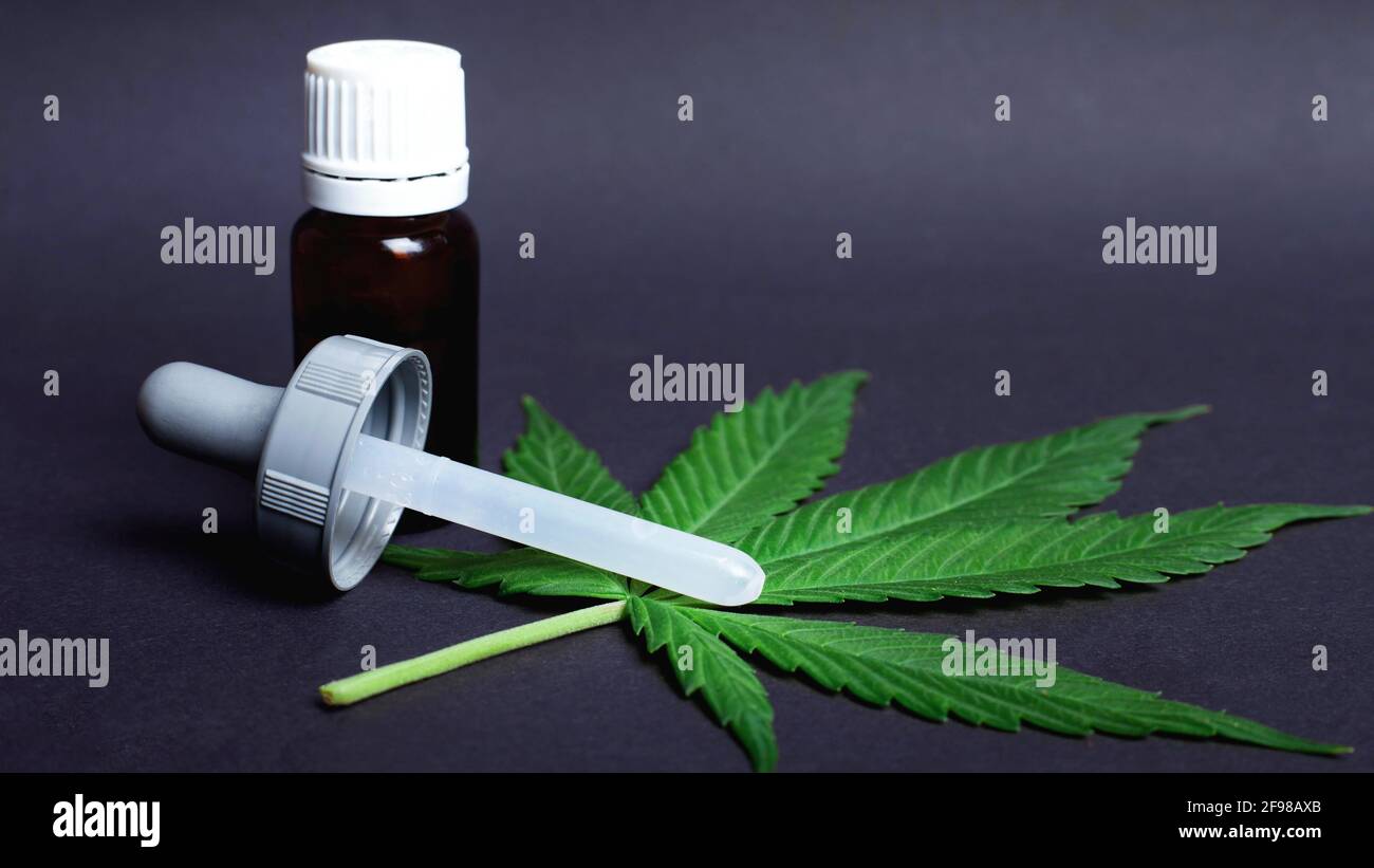 Cannabis plant natural medicine hi-res stock photography and images - Alamy