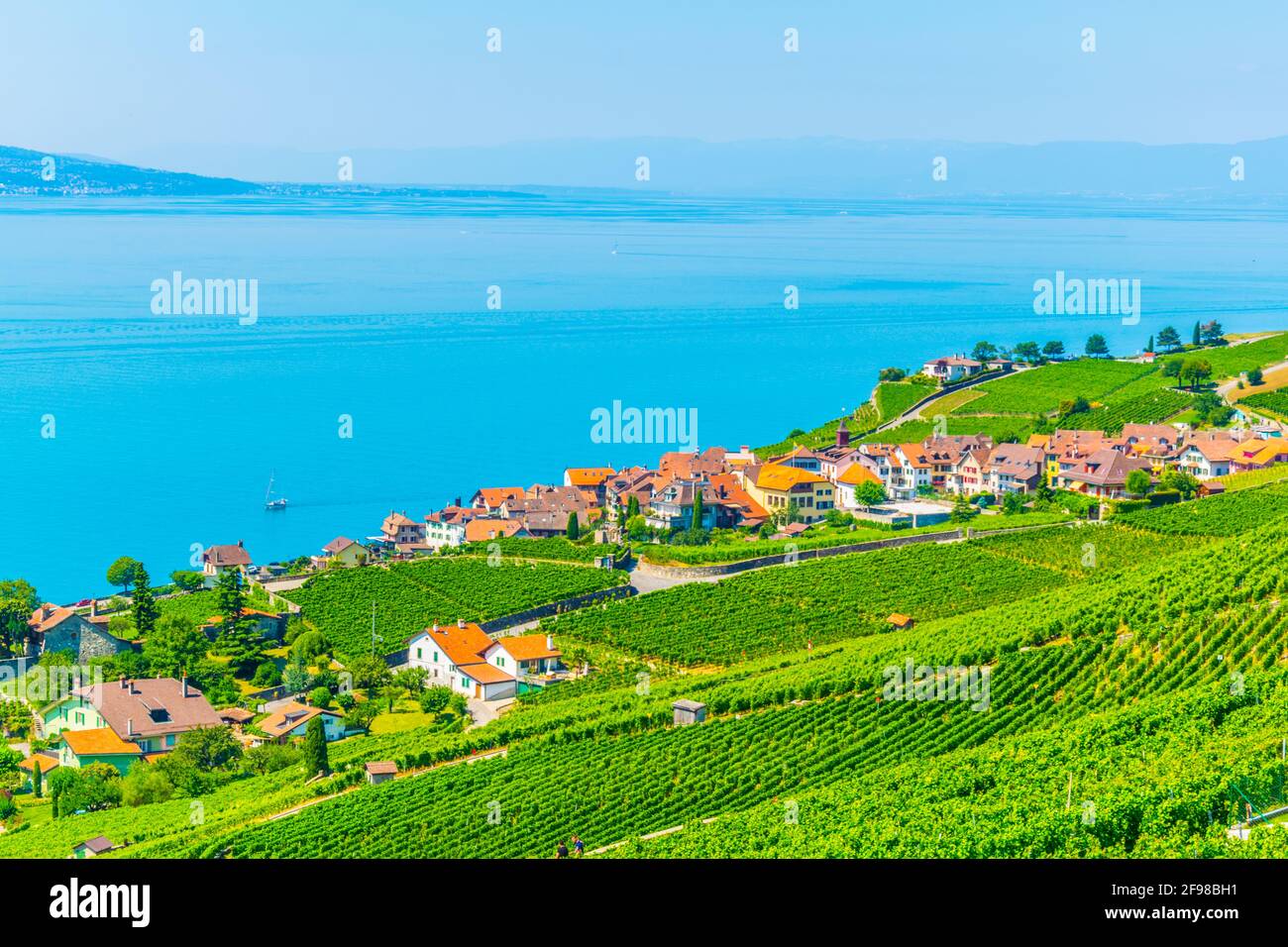 Aerial view of Rivaz and Geneva lake in Switzerland Stock Photo - Alamy