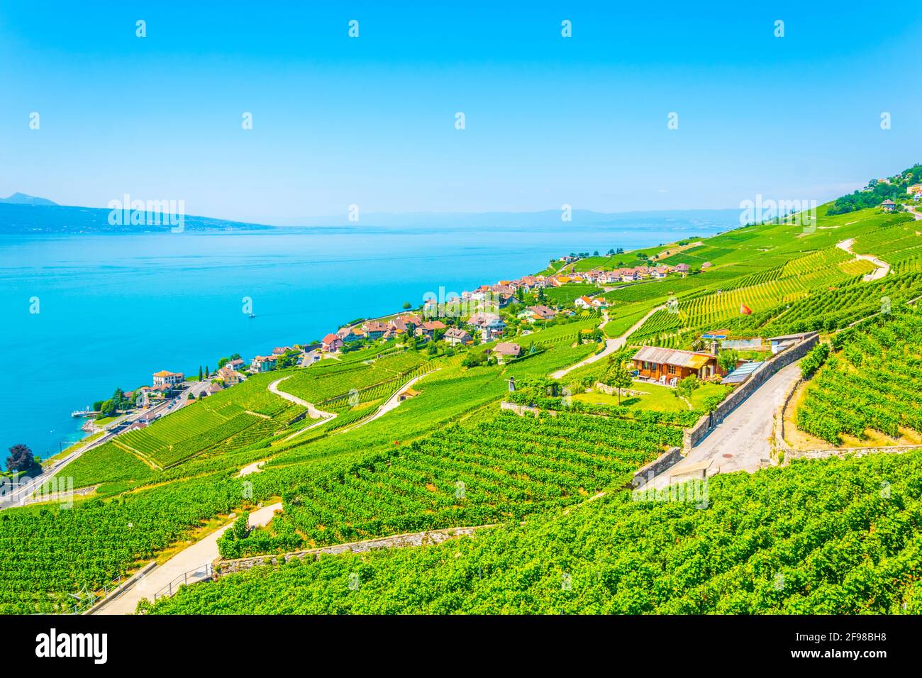 Aerial view of Rivaz and Geneva lake in Switzerland Stock Photo - Alamy