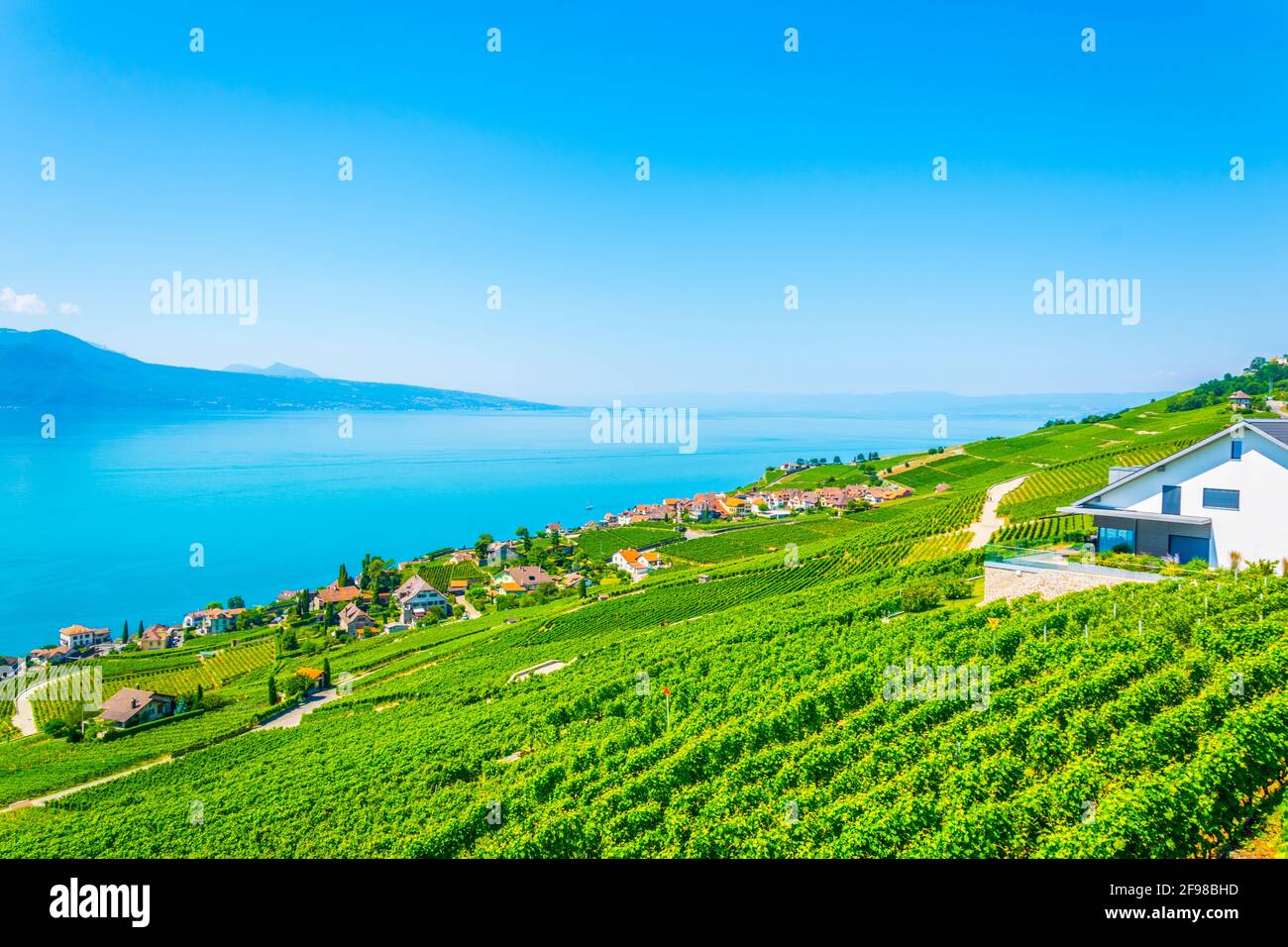 Aerial view of Rivaz and Geneva lake in Switzerland Stock Photo - Alamy