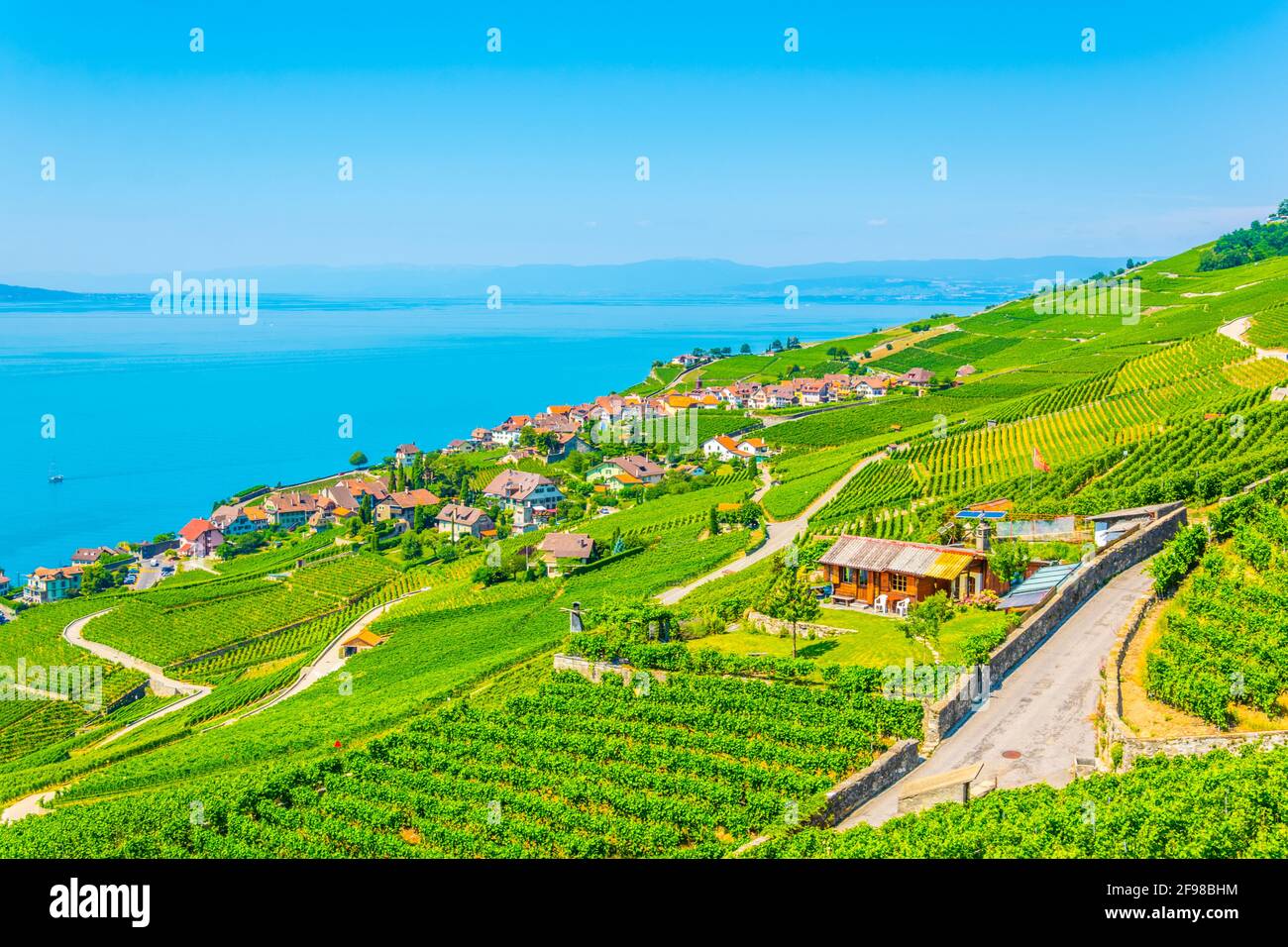 Wine terraces and wine village rivaz in lavaux hi-res stock photography ...