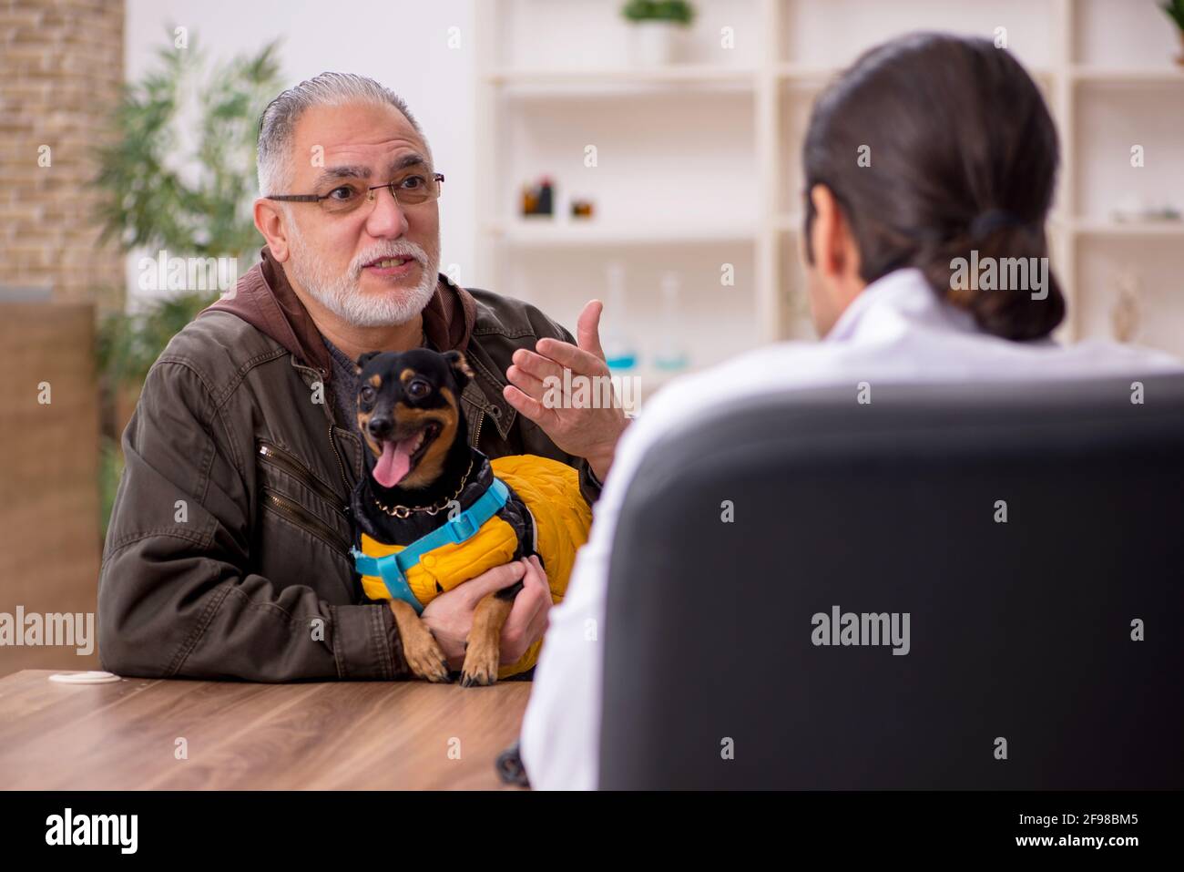 Young doctor vet examining dog in the clinic Stock Photo - Alamy