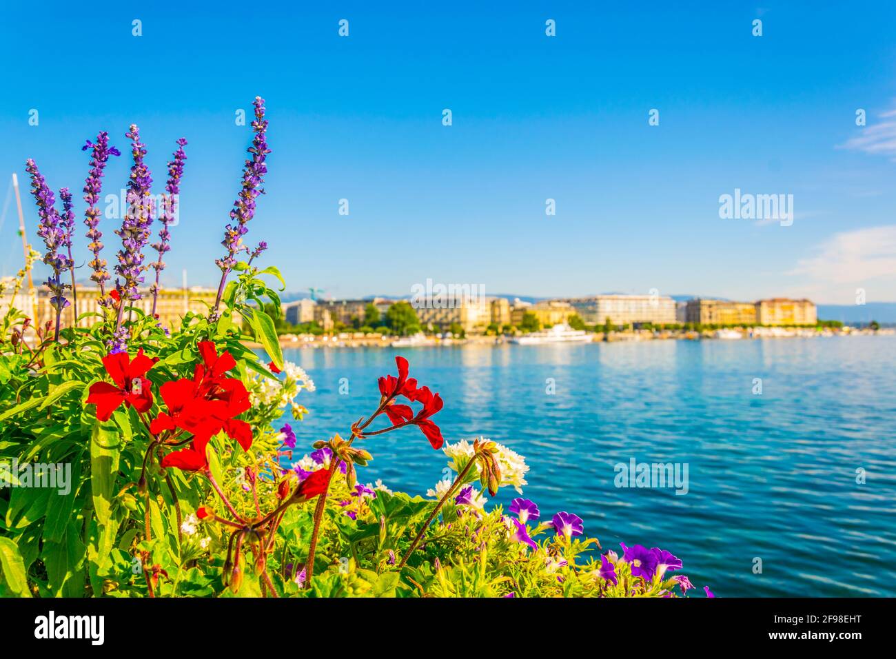 Cityscape of Geneva viewed behind flowers in Switzerland Stock Photo ...