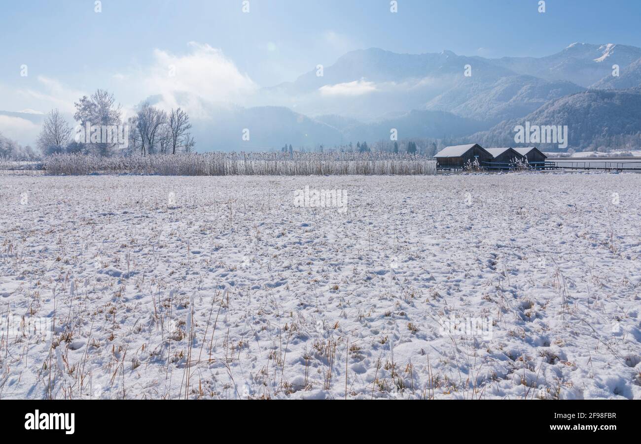 Whitefish range hi-res stock photography and images - Alamy
