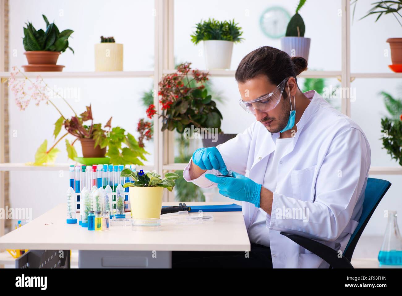 Young chemist perfumer working in the lab Stock Photo - Alamy
