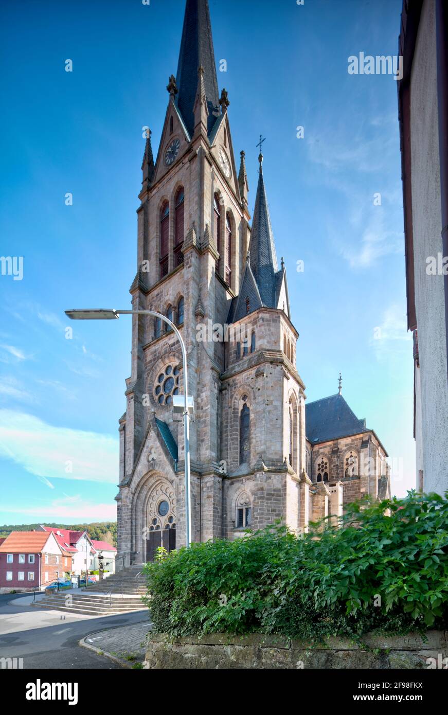 Tann rhoen hi-res stock photography and images - Alamy