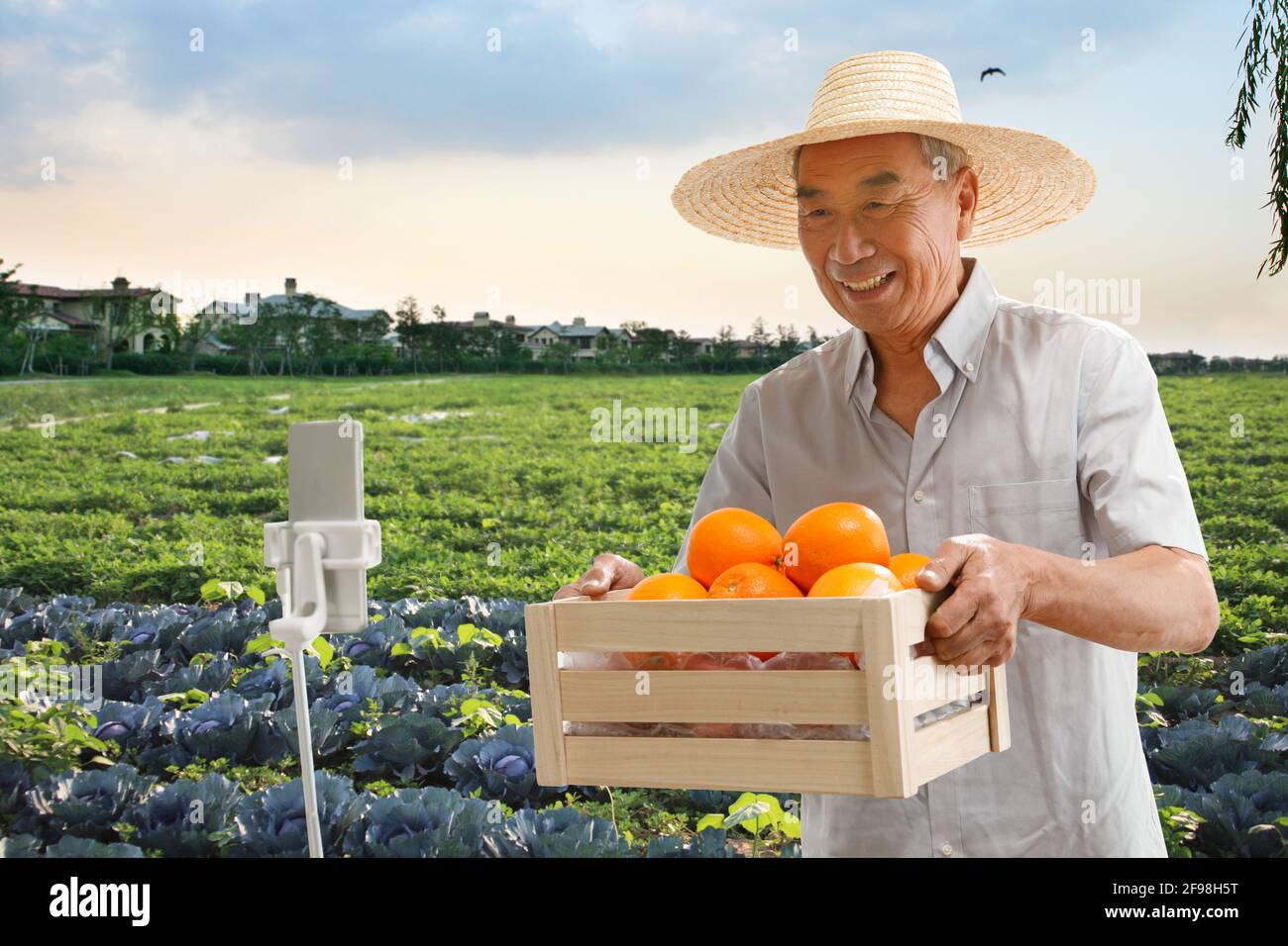 Live streaming china farmers hi-res stock photography and images - Alamy