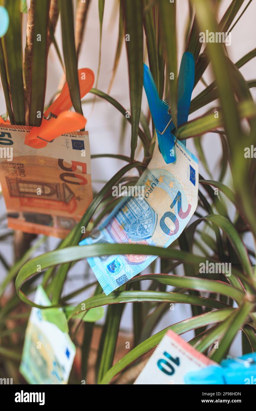 Money does not grow on trees / banknotes on house plants, symbol money ...