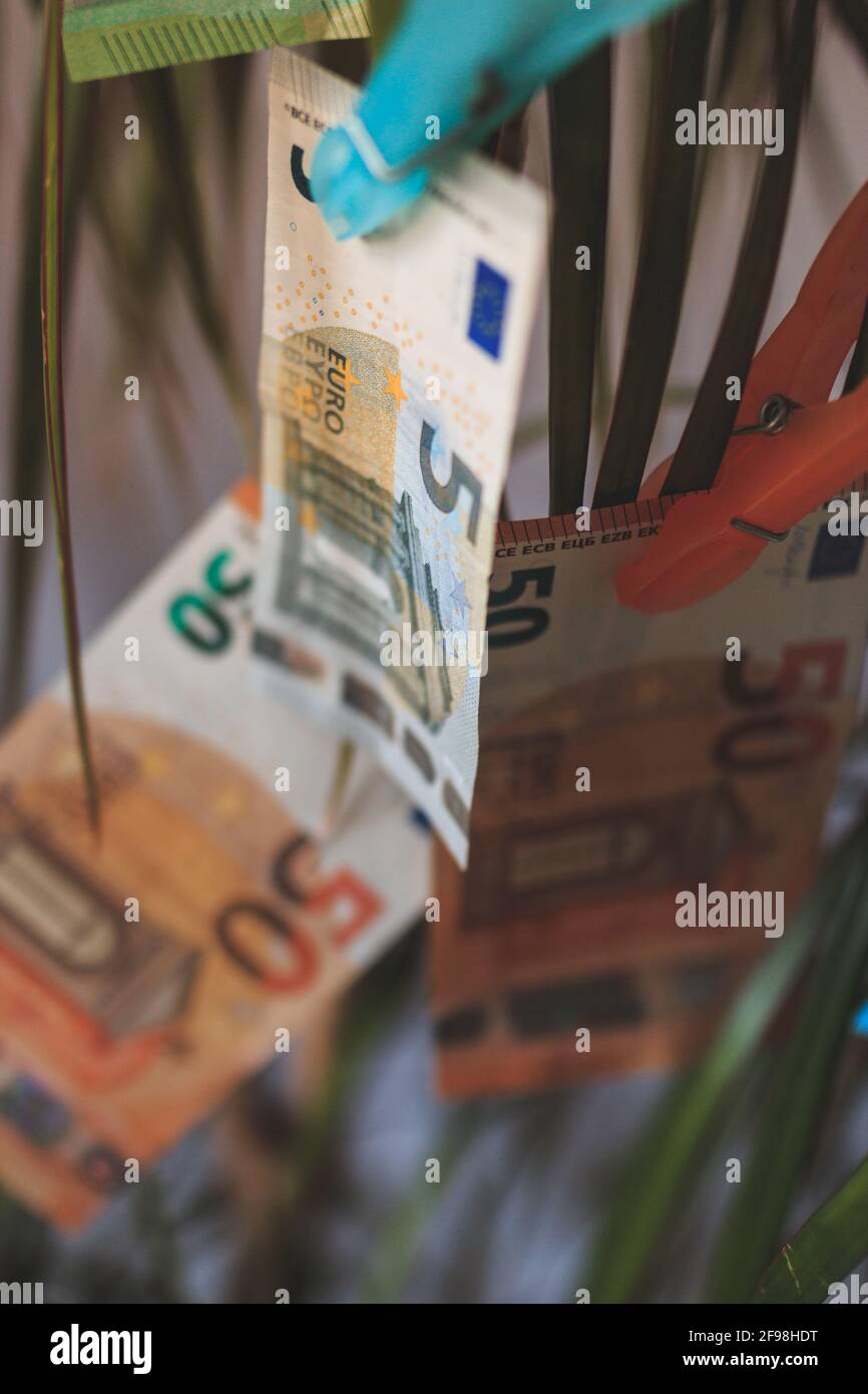 Money does not grow on trees / banknotes on house plants, symbol money ...