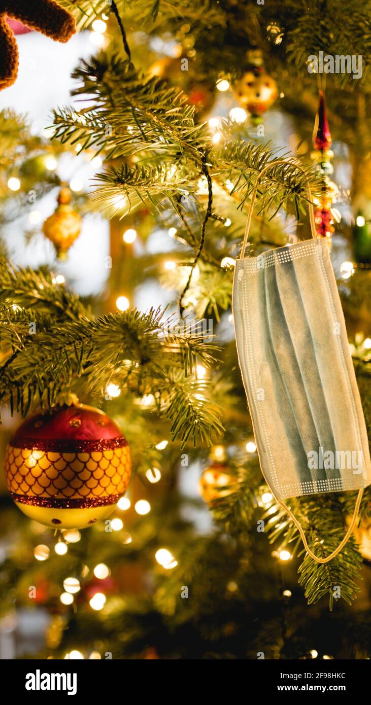 Corona tree hi-res stock photography and images - Alamy