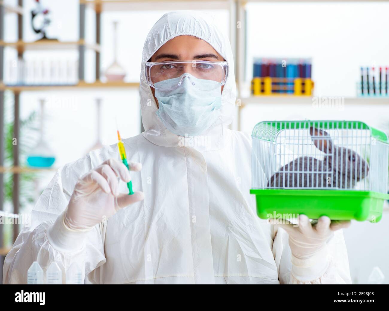 The scientist doing testing on animals rabbit Stock Photo - Alamy