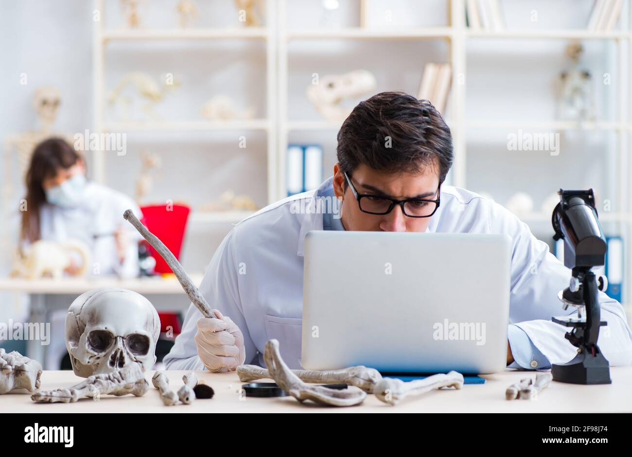 The professor studying human skeleton in lab Stock Photo - Alamy