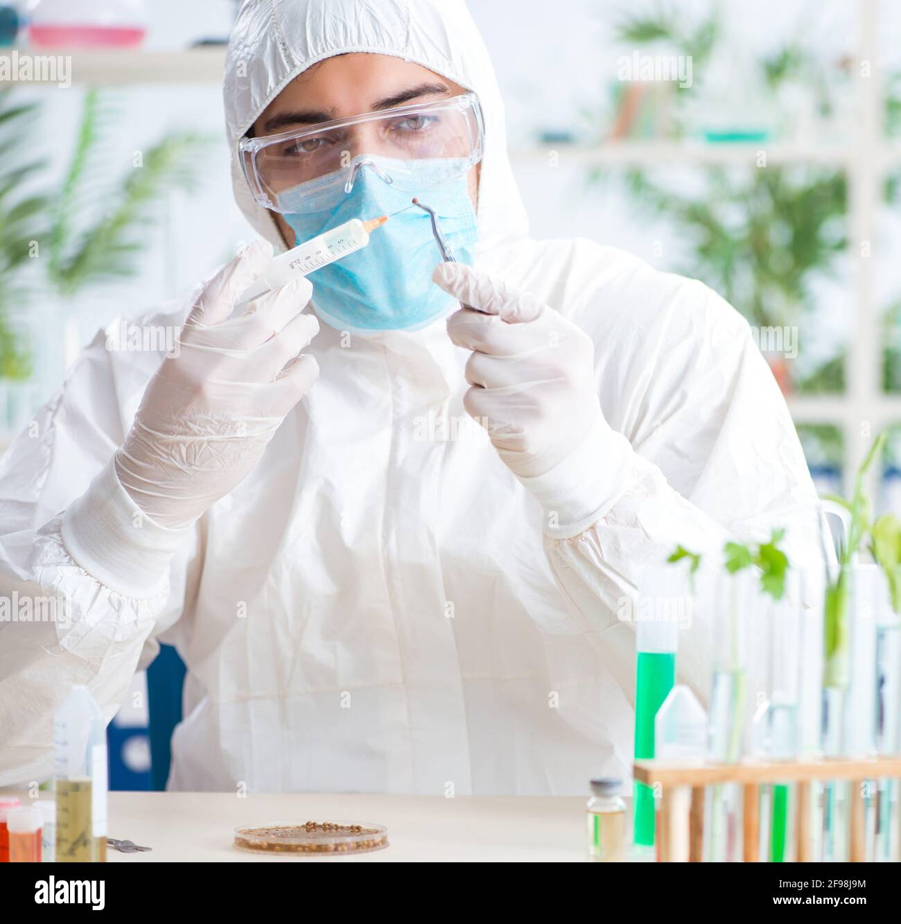 The male biochemist working in the lab on plants Stock Photo - Alamy