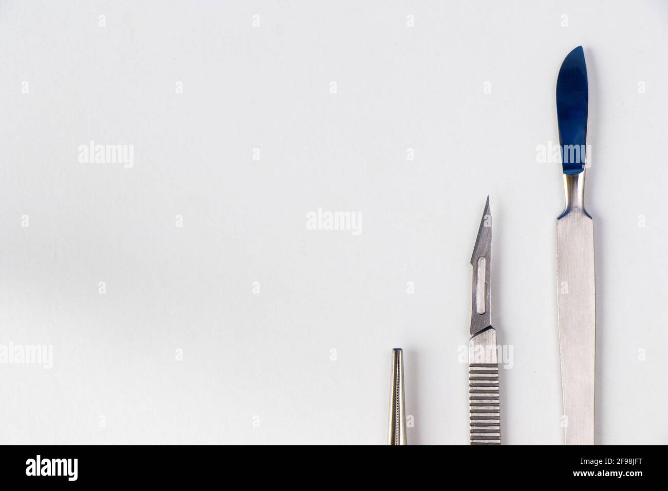 Dissection view hi-res stock photography and images - Alamy