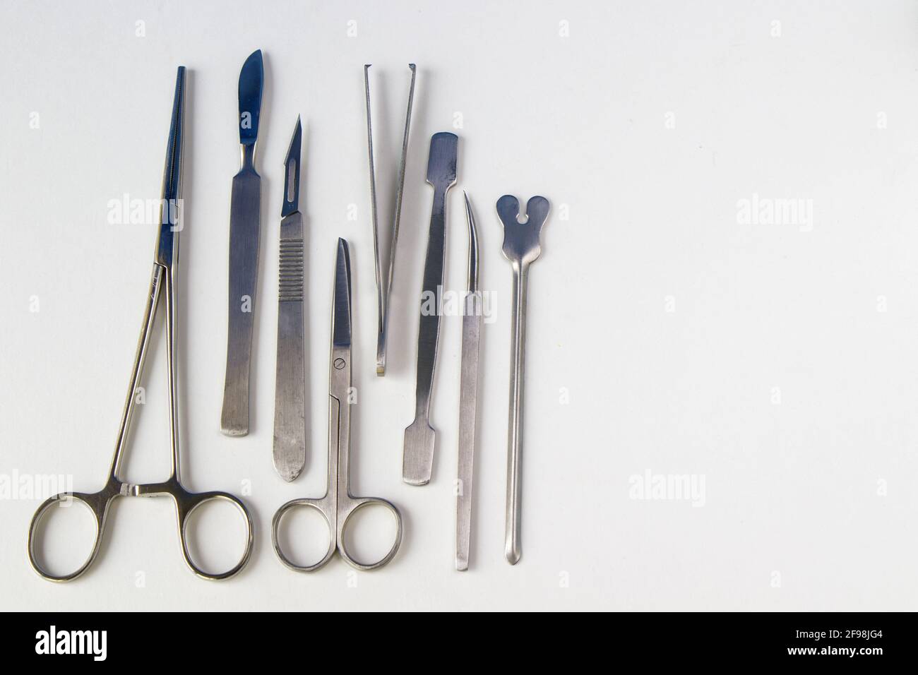 Top view of a stainless dissection kit on a white background Stock ...