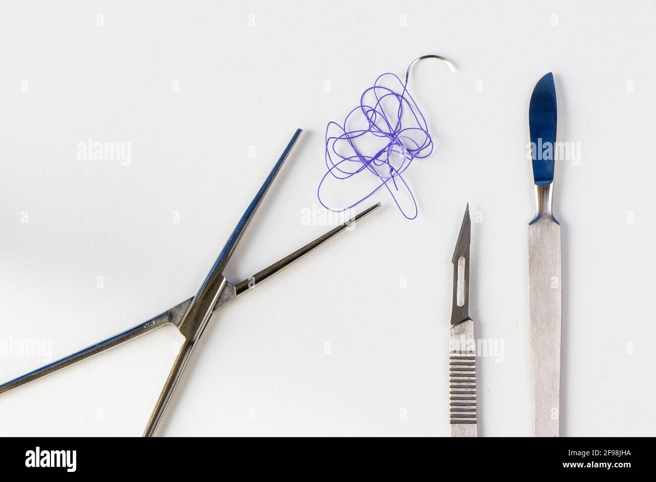 Top view of a stainless dissection kit on a white background Stock ...