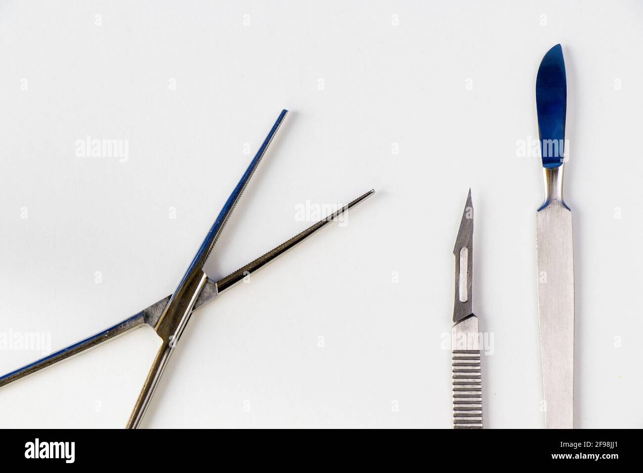 Top view of a stainless dissection kit on a white background Stock ...