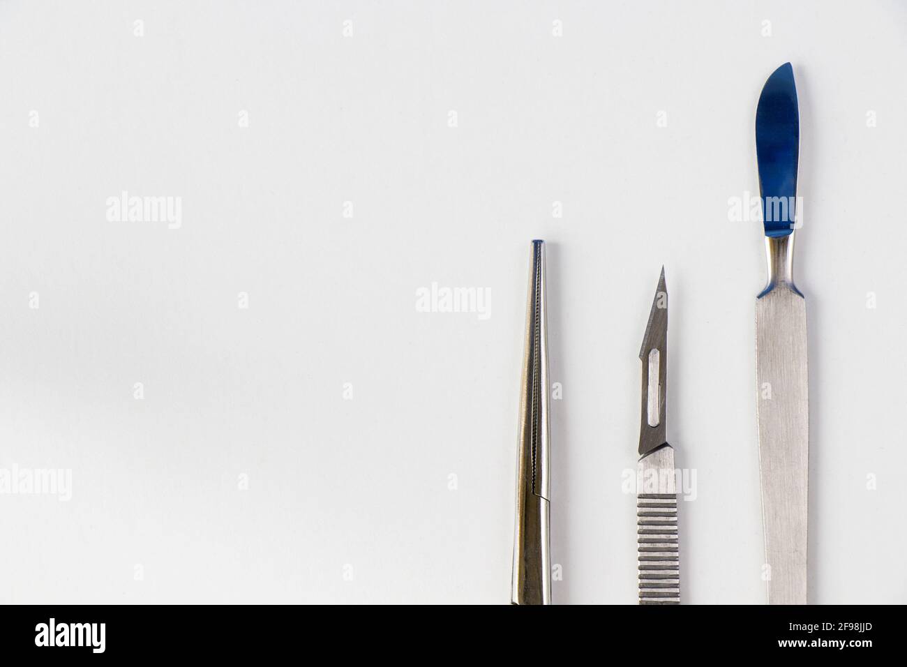 Top view of a stainless dissection kit on a white background Stock ...