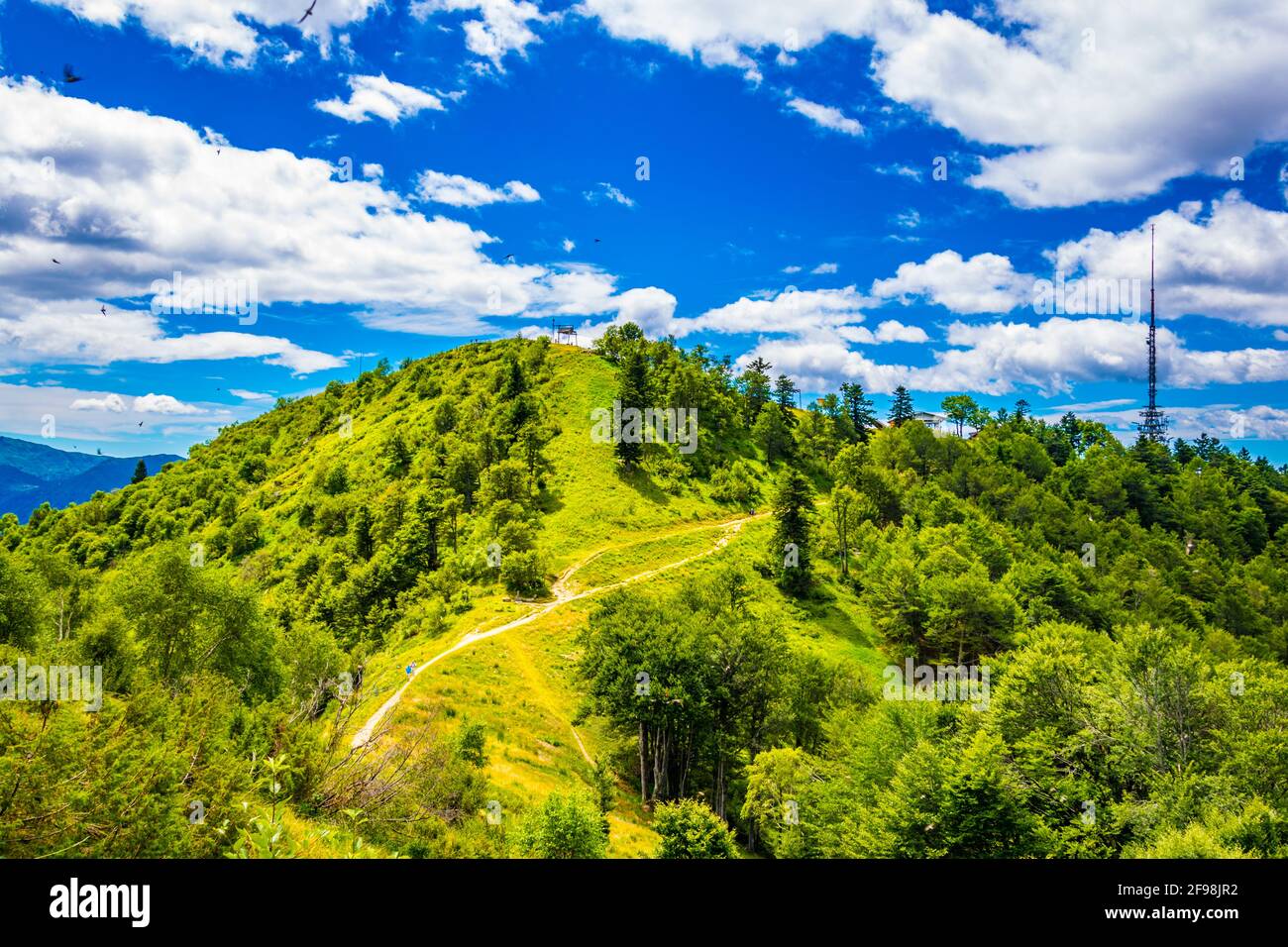 Cardada mountain in Switzerland Stock Photo - Alamy