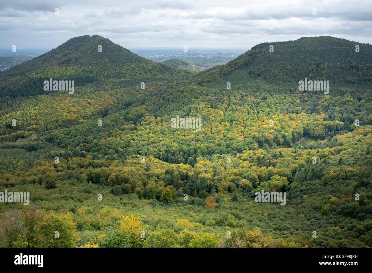 Germany, Rhineland-Palatinate, Annweiler, Trifels Castle, view from the ...
