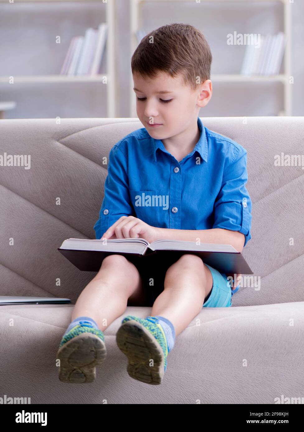 The small boy reading books at home Stock Photo - Alamy