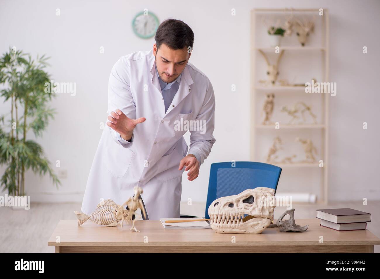 Young student paleontologist examining ancient animals at lab Stock ...