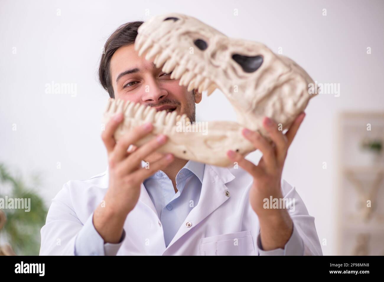Young student paleontologist examining ancient animals at lab Stock ...