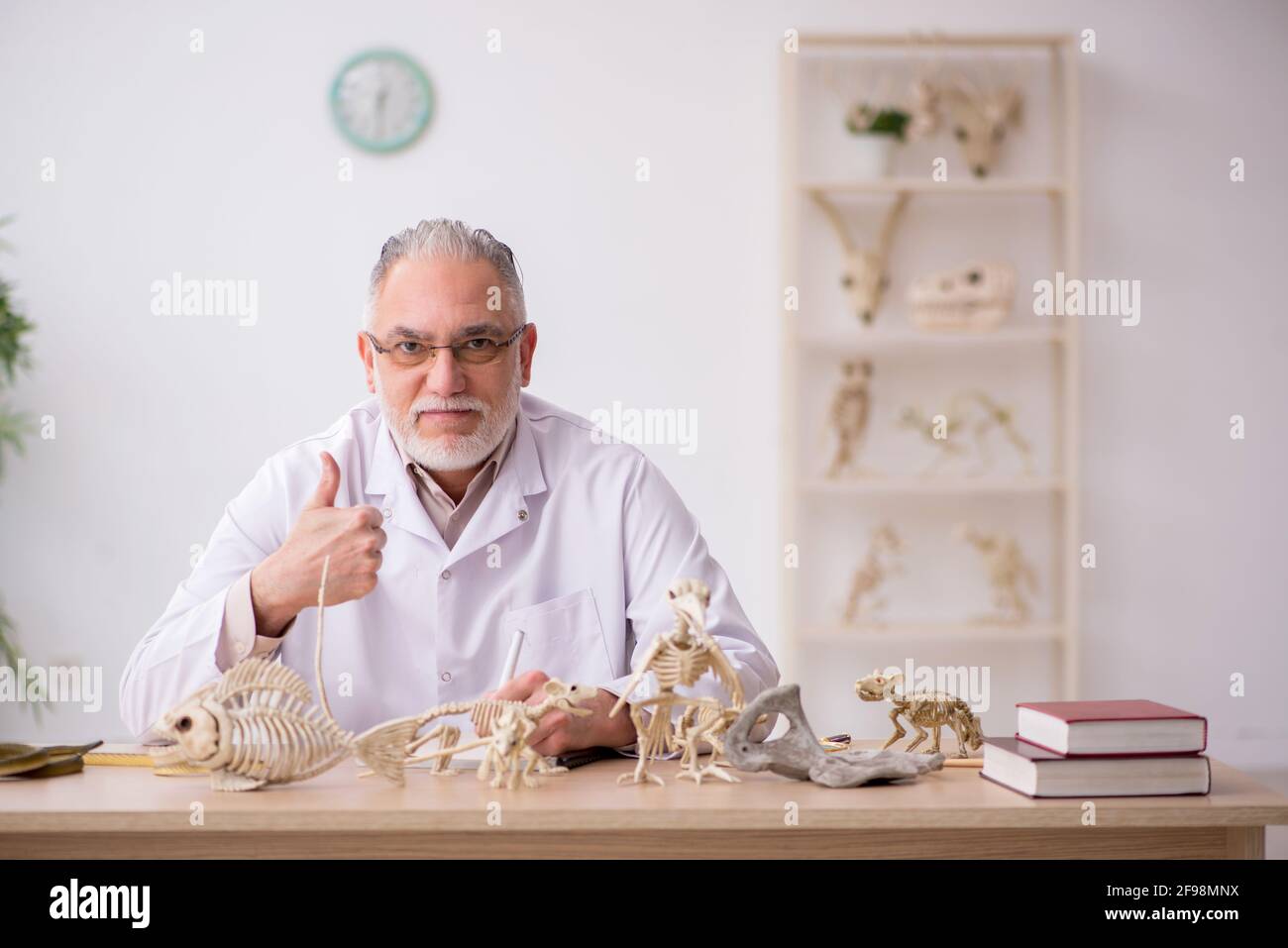 Experienced male paleontologist examining ancient animals at lab Stock ...