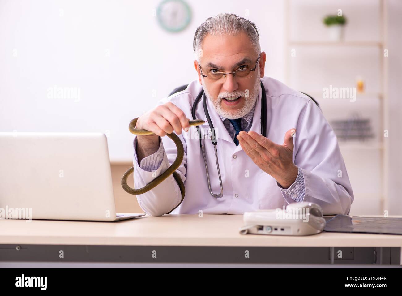 Aged male doctor holding snake at workplace Stock Photo - Alamy