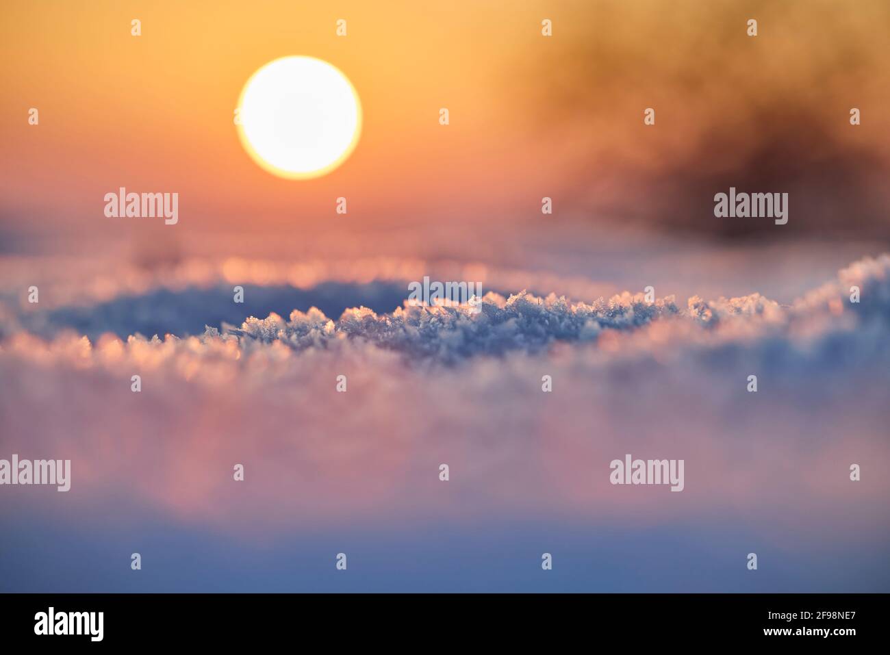 Full colour cover hi-res stock photography and images - Alamy