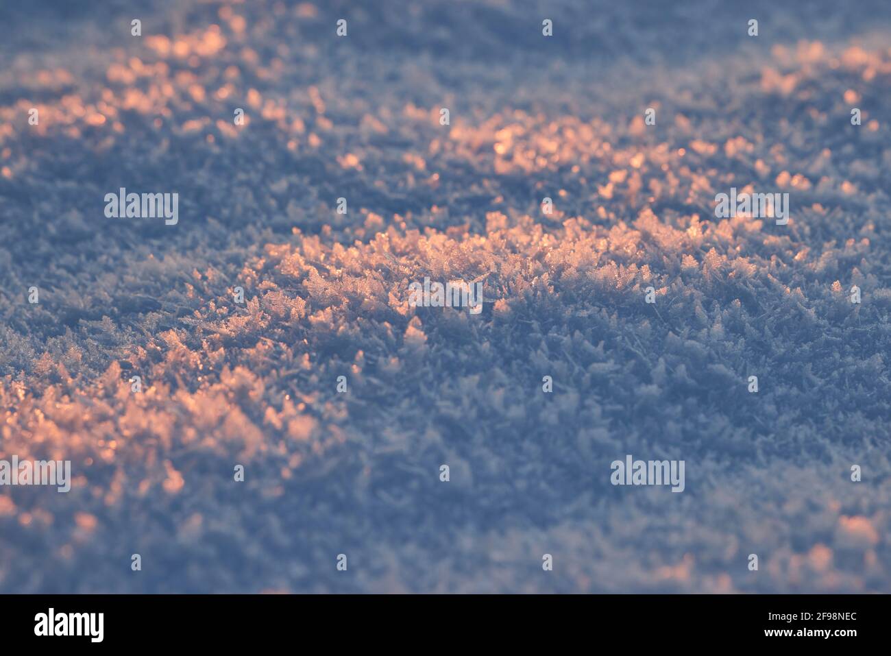 Snow cover, evening light Stock Photo - Alamy