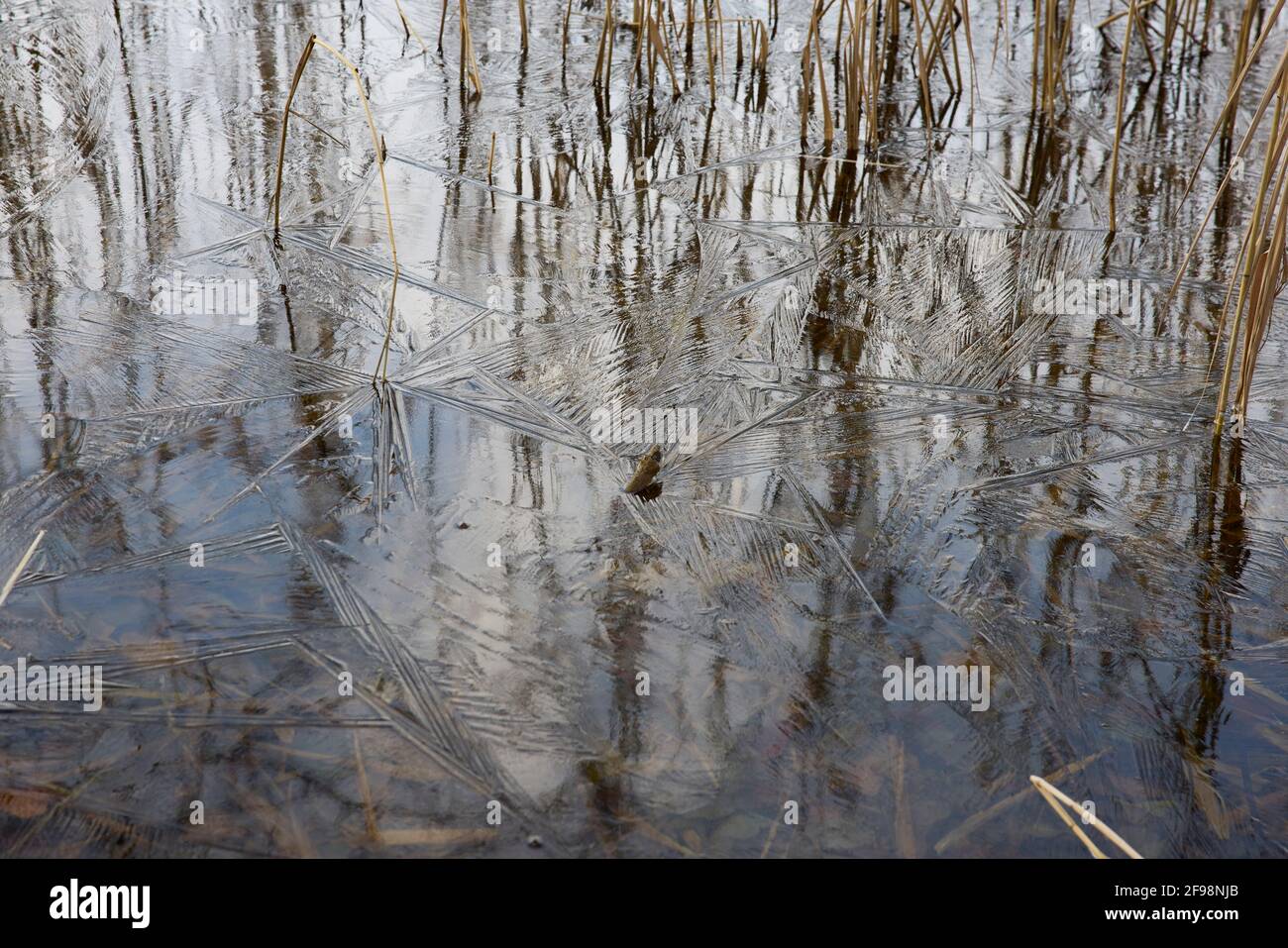 Lake, ice, formation Stock Photo - Alamy