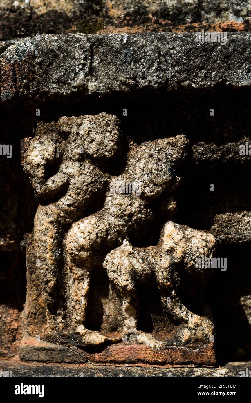 Sri Lanka, Nalanda, monastery Nalanda Gedige, relief, detail Stock ...