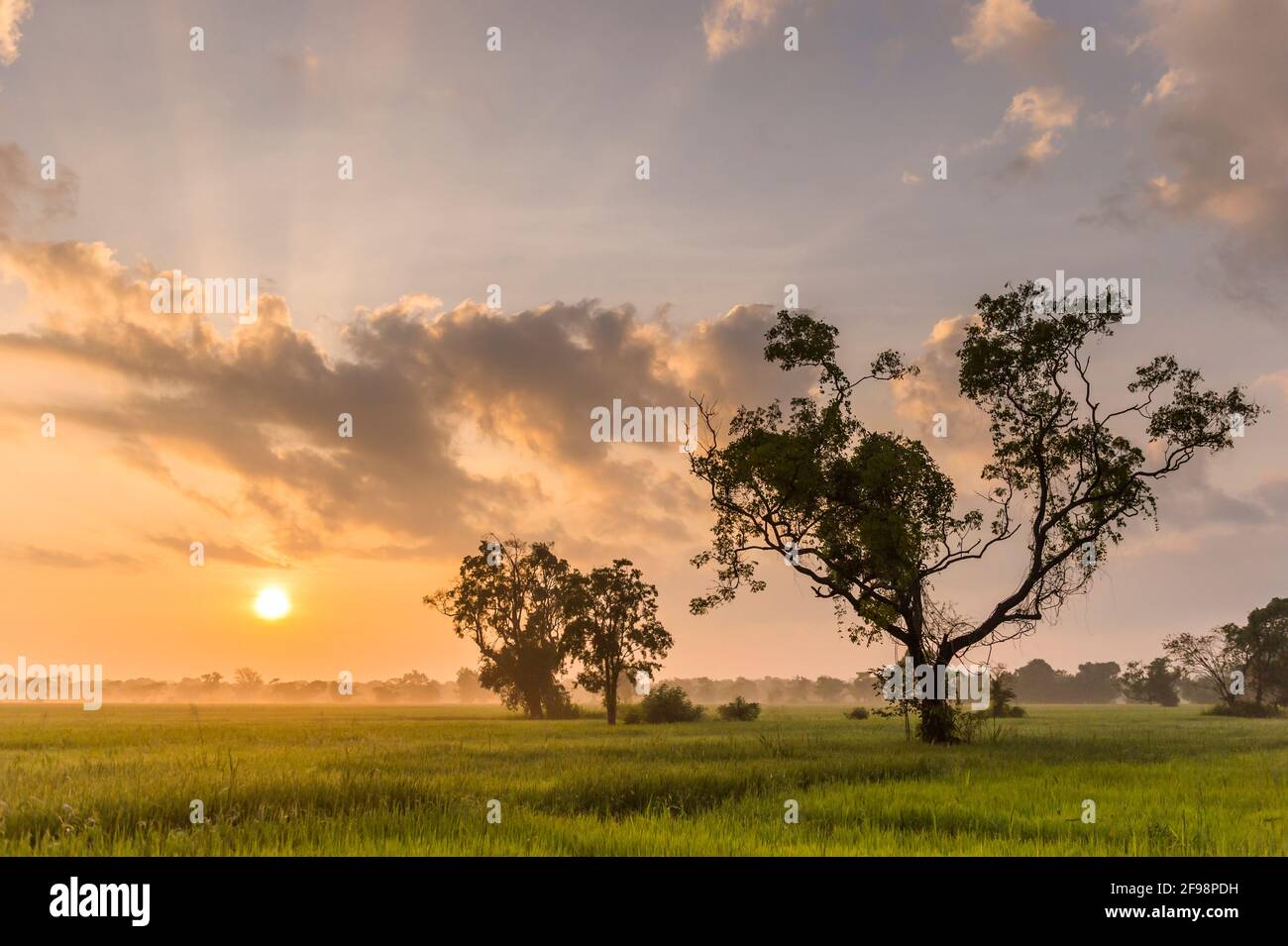 Sri Lanka, Ritigala, Forest Monastery Stock Photo - Alamy
