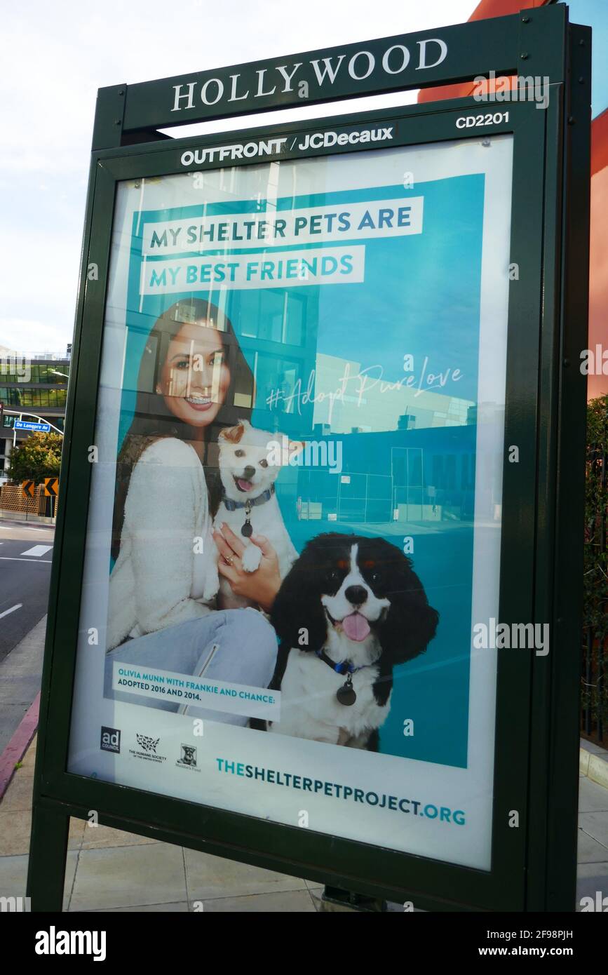 Los angeles bus stop ad hi-res stock photography and images - Alamy